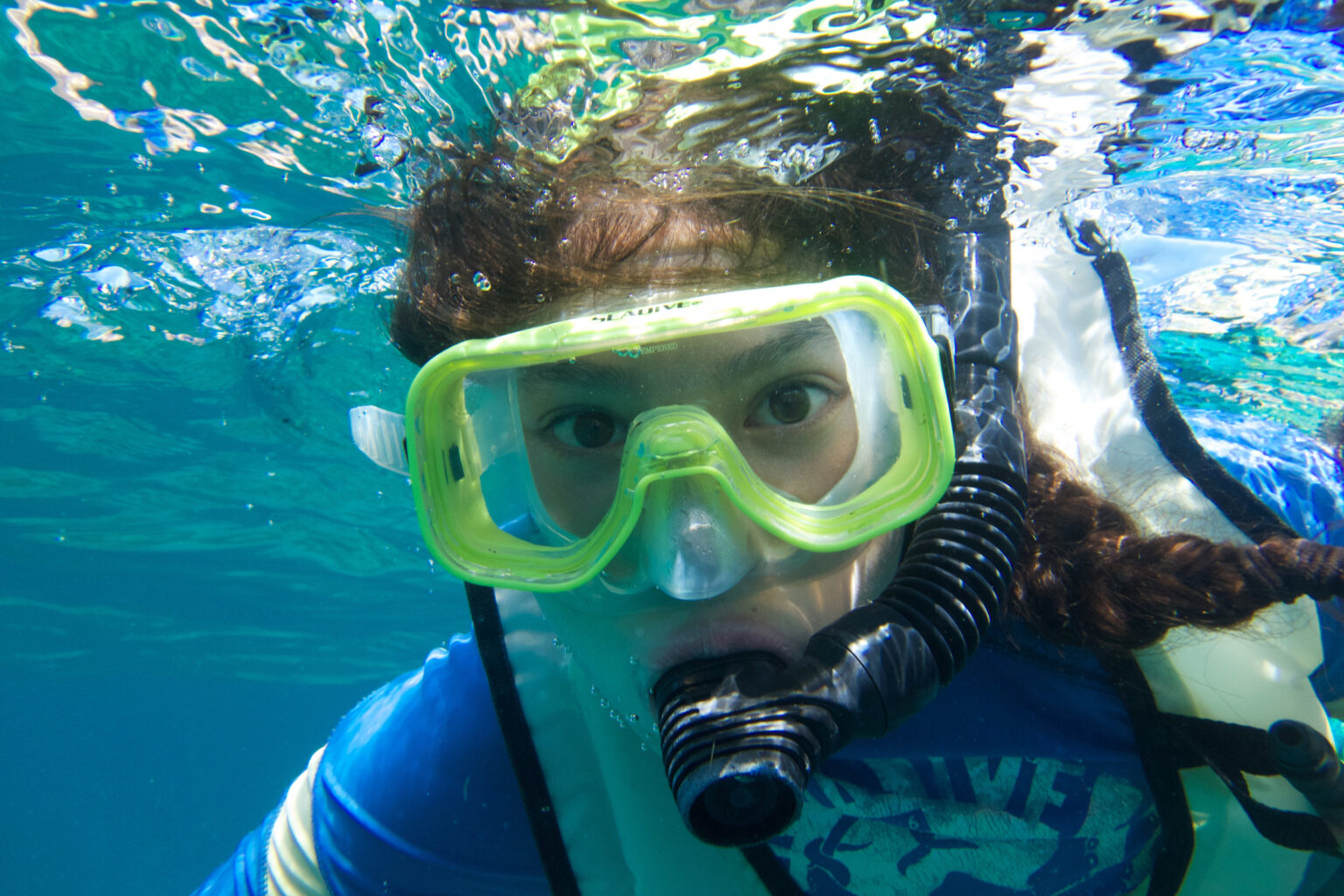 Home - Ecologist School