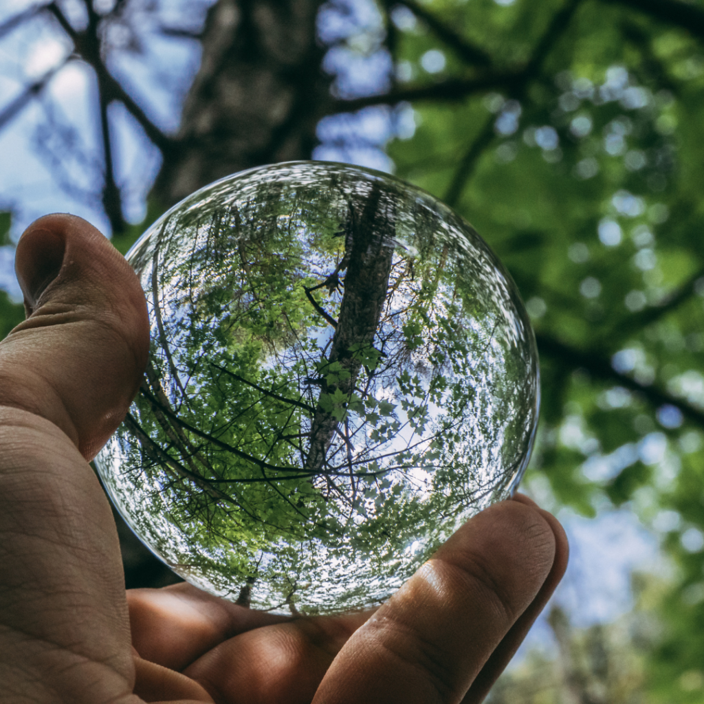 Visualizing Ecology - Ecologist School