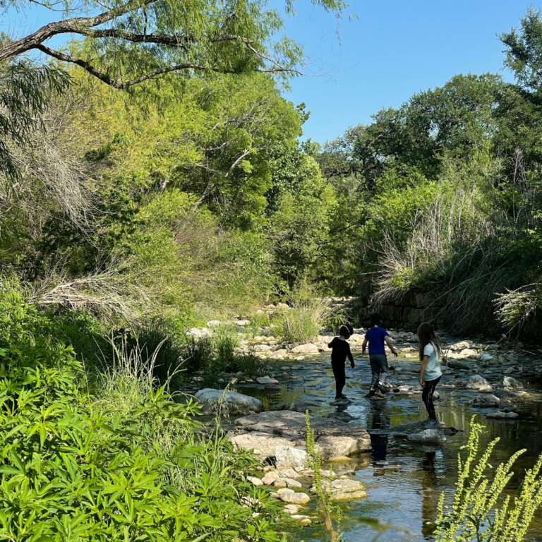 Landmark Lines - Ecologist School