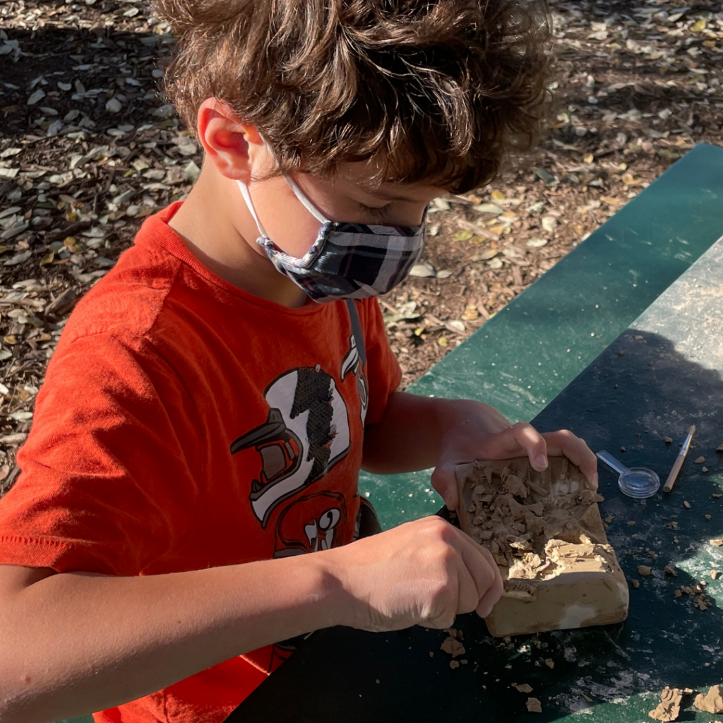 Digging Discovery Kit - Ecologist School