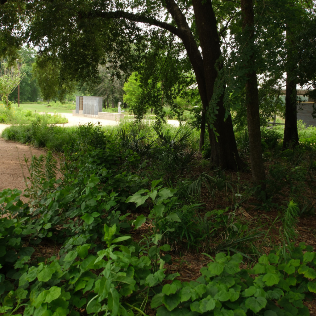 Living Landscapes - Ecologist School