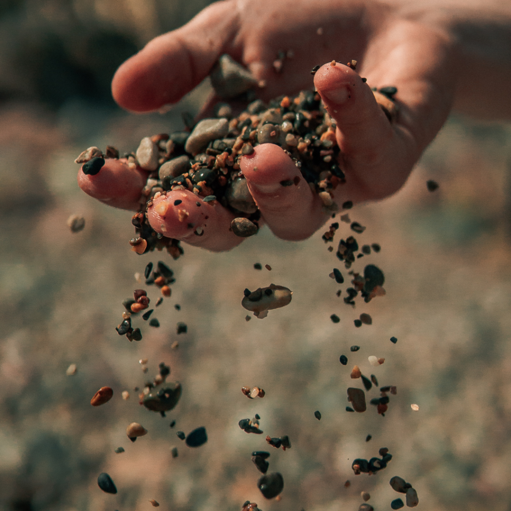 Soil Stories - Ecologist School